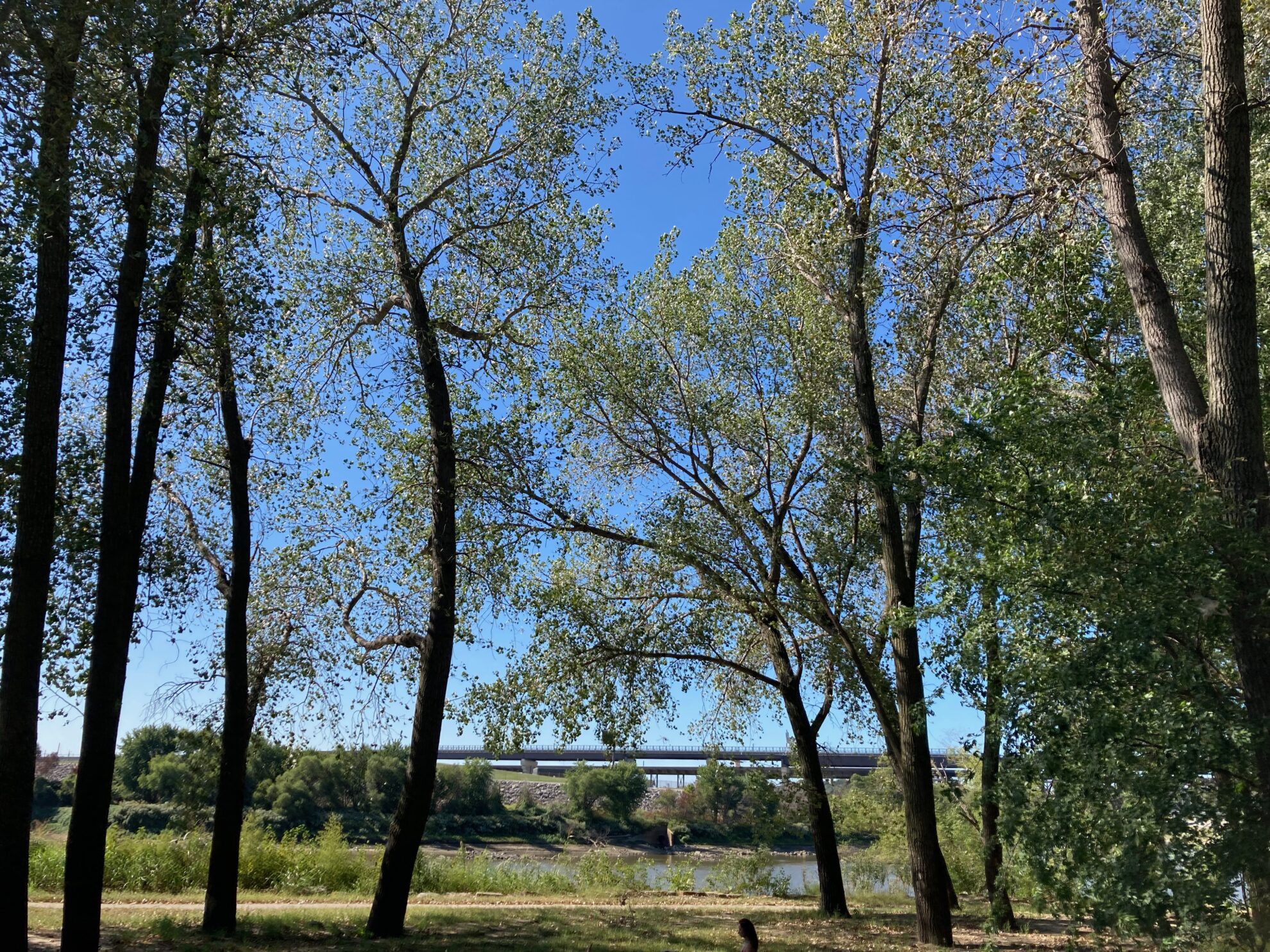 Historic Native Plants – Kaw Point Park